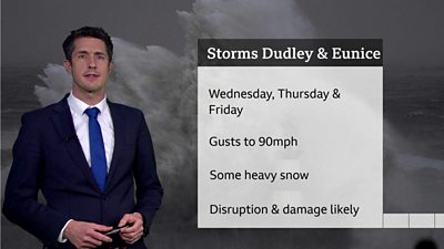 Storm Eunice: Videos show winds toppling trees and ripping roofs - BBC News