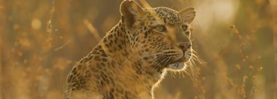 Bbc Studios Natural History Unit Wins A New Landmark Commission For Bbc