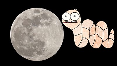 Moon: What is a Worm Moon? - BBC Newsround
