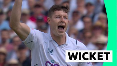 England v New Zealand: Matthew Potts removes Kane Williamson in first ...
