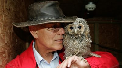 Wildlife Aid Foundation: ‘I need to secure the charity's future before ...