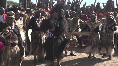 New Zulu king crowned in South Africa - BBC News