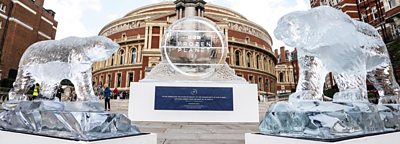 Penguins march their way to the Royal Albert Hall ahead of Frozen ...