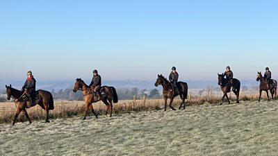 Trainers prep horses for Christmas races in tough conditions - BBC Sport