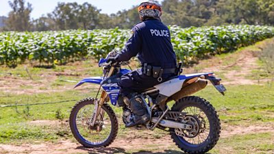 Australia: Watch moment police on dirt bikes raid illegal tobacco farm ...