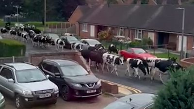 Haf Dan Glo: Stori Mali Elwy - BBC Cymru Fyw