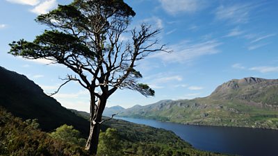 Scotland The New Wild offers a "breath-taking portrait of Scotland's ...