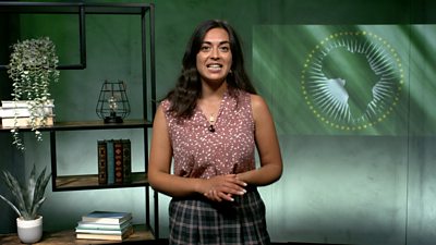 G20: Why it needs African Union at the table - BBC News