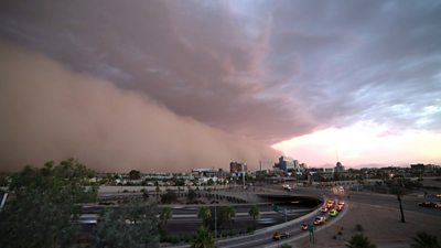 Planet Earth III Episode 3 Deserts & Grasslands - Everything you need ...