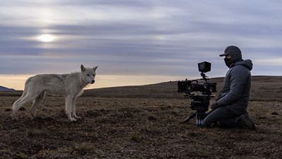 Planet Earth III Episode 6 Extremes - Everything you need to know