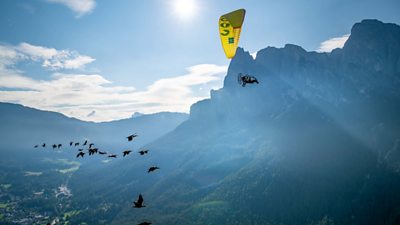 Planet Earth III Episode 8 Heroes - Everything you need to know