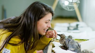 Planet Earth III Episode 8 Heroes - Everything you need to know