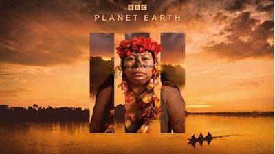 Planet Earth III Episode 8 Heroes - Everything you need to know