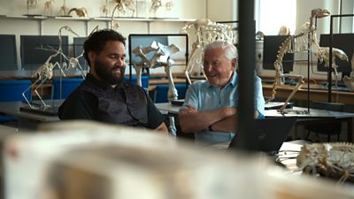 Attenborough and the Giant Sea Monster: Sir David Attenborough talks ...