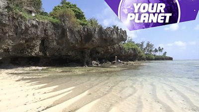 Watch Newsround - BBC Newsround