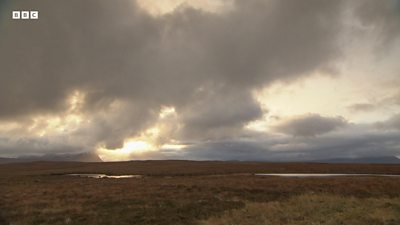 Seirbheis carbad-eiridinn slàinte-inntinn ga leudachadh - Naidheachdan ...