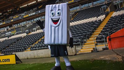 Hull FC fans asked to guess what the club's new mascot is? - BBC News