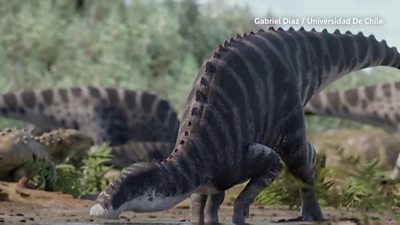Megalosaurus: Two hundred years since first dinosaur officially named ...