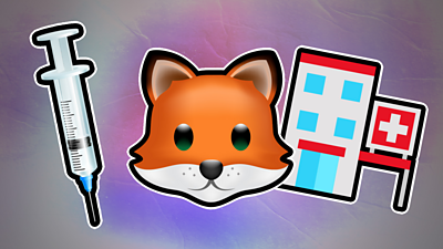 Wildlife centre staff wear fox masks to care for kits - BBC Newsround