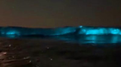 Dunraven Bay: Blue waves caused by bioluminescent plankton - BBC News