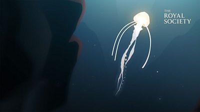 BBC Ideas takes you on a journey to the deepest part of the ocean - BBC
