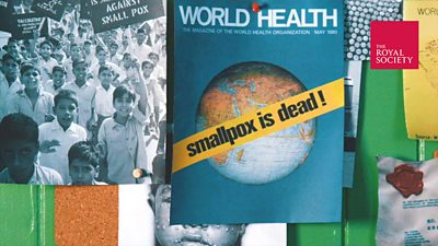 How smallpox was eradicated - BBC