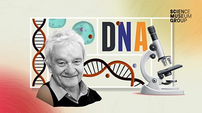 How the discovery of the DNA structure has changed our lives - BBC