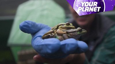 Happy News: Stories to make you smile - BBC Newsround