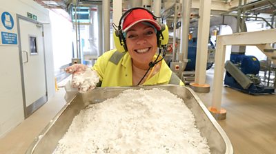 Inside the Factory's Paddy McGuinness and Cherry Healey explore ...