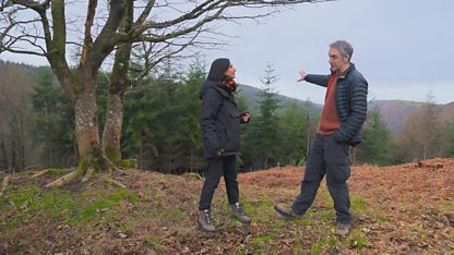 BBC Two - BBC iPlayer