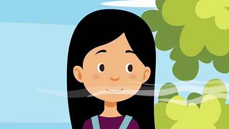 The community and me - KS1 Citizenship - BBC Bitesize