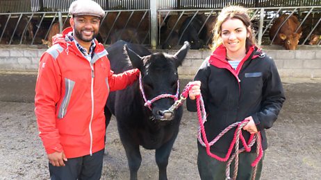 CBeebies Guide - Tue Jul 23 2024 - BBC iPlayer