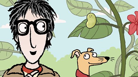 CBeebies Guide - Fri May 16 2025 - BBC iPlayer