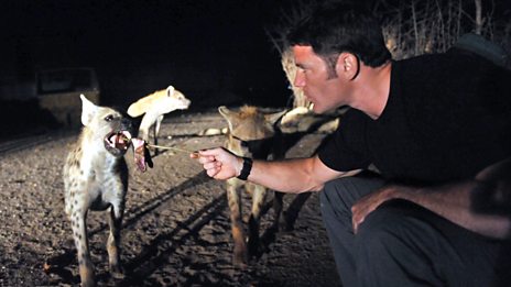 Deadly 60 - Series 3: 2. Ethiopia - BBC iPlayer