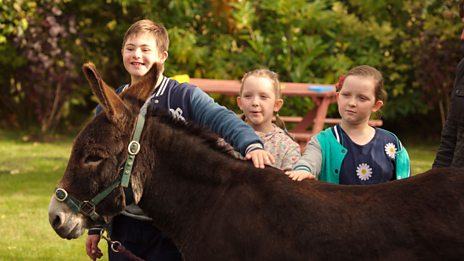 The Dumping Ground - Series 4: 20. Two for Joy - BBC iPlayer