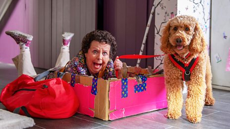 Waffle the Wonder Dog - Series 3: 3. Waffle the Guest - BBC iPlayer