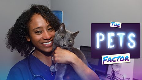 BBC iPlayer - CBBC - Featured