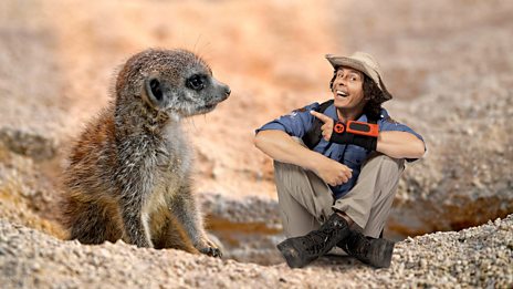 Andy's Wild Adventures - Series 1: 4. Meerkats - Signed - BBC iPlayer