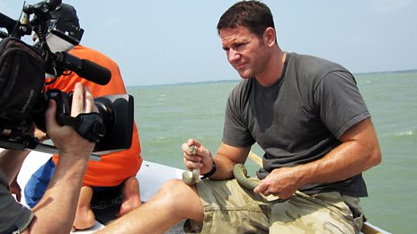 Deadly 60 - Series 3: 17. Sri Lanka 2 - BBC iPlayer