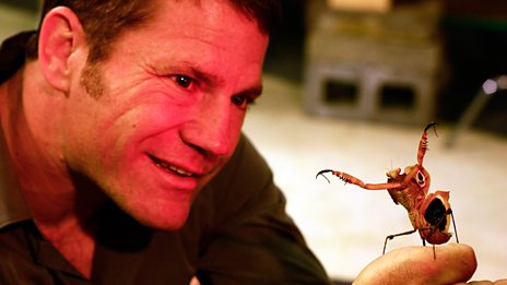 Deadly 60 - Series 3: 20. Killer Shots - BBC iPlayer