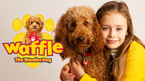 BBC iPlayer - CBeebies - Featured