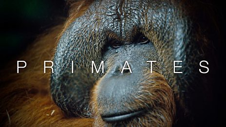 Science & Nature - Featured - BBC iPlayer