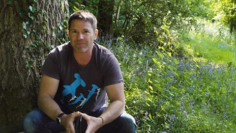 DIY Deadly with Steve Backshall - Series 1: 3. Deadly Woodlands - BBC ...