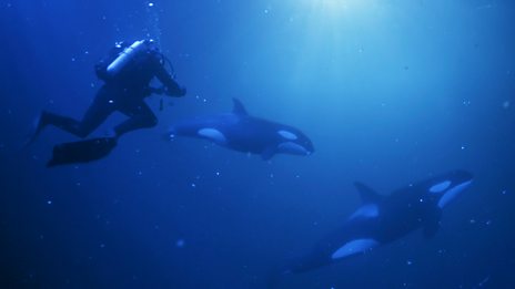 BBC iPlayer - CBBC A to Z