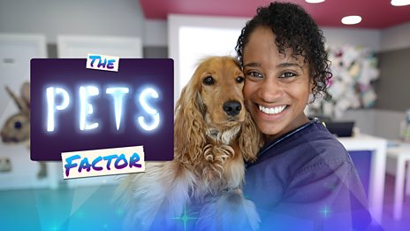 CBBC - BBC iPlayer