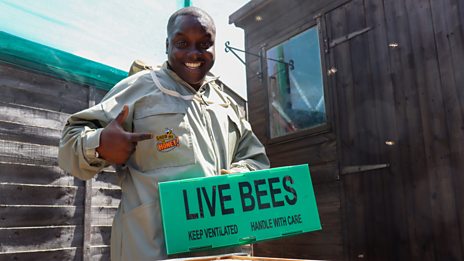 Show Me the Honey! - Series 1: Episode 2 - BBC iPlayer