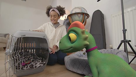 My Petsaurus - Series 5: 4. Check-up - BBC iPlayer