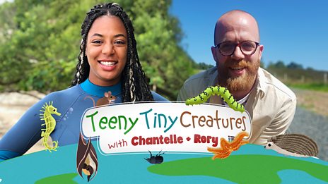 BBC iPlayer - CBeebies - Featured