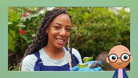 Teeny Tiny Creatures - Series 2 - Chantelle and Rory: 7. Grasshoppers ...