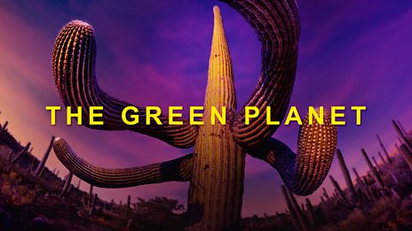 Science & Nature - Featured - BBC iPlayer